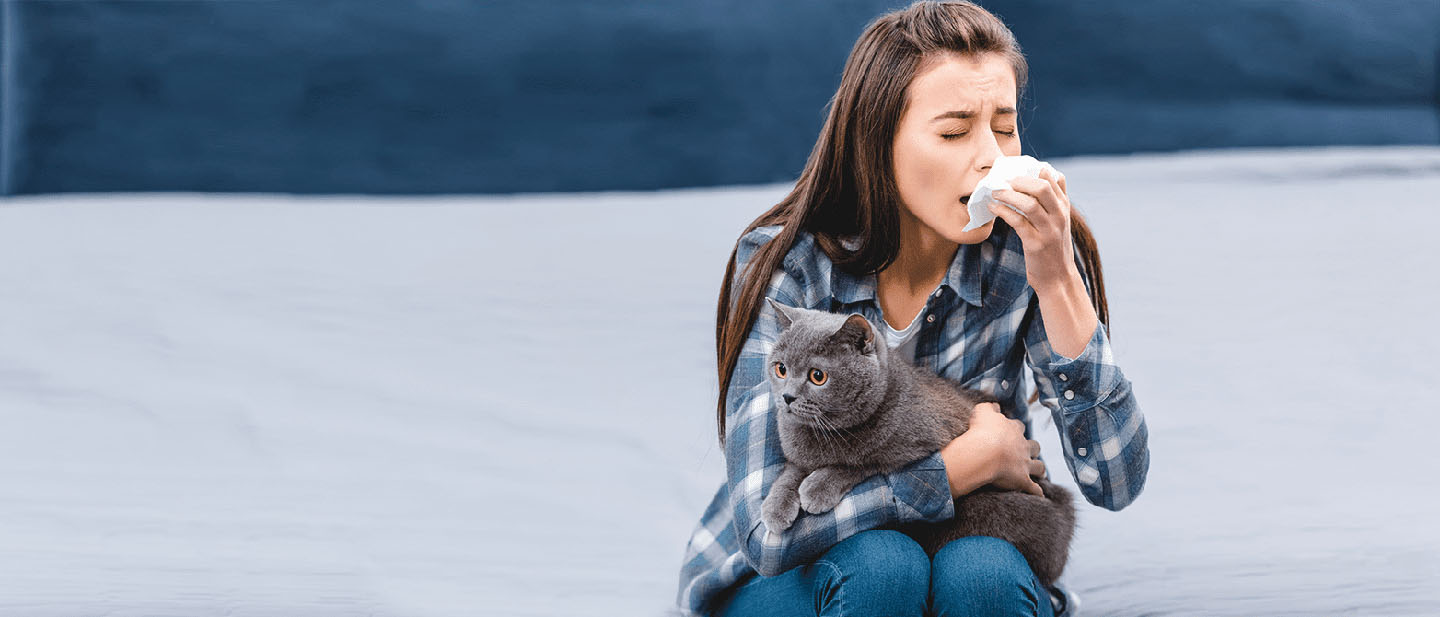 cat allergies